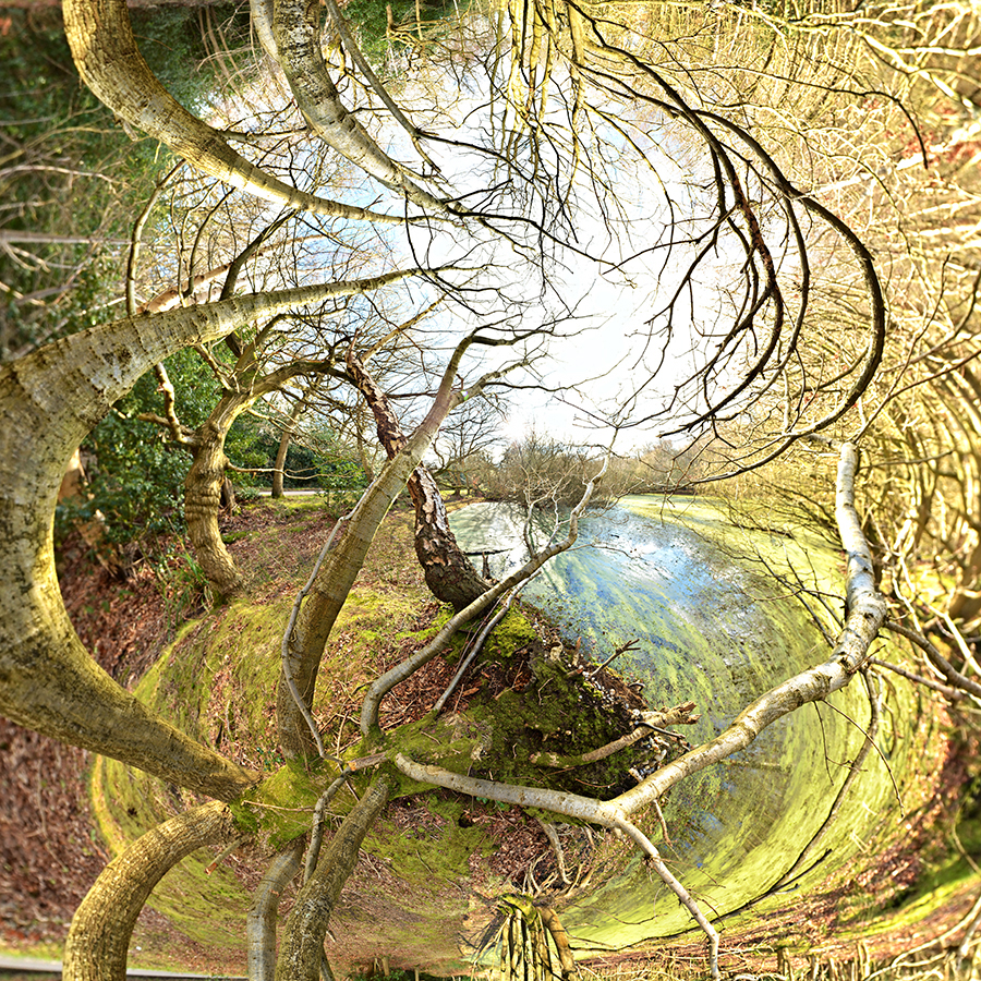 International Photographer of the Year 2017 - Photo Contest - Show ...